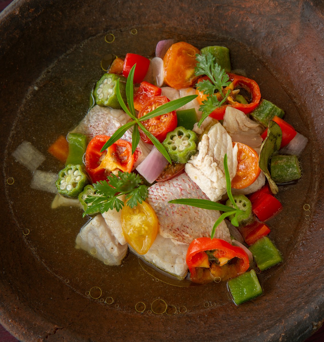 “Planet Ocean: tides are changing” – Introducing Invasive Fish Species ...