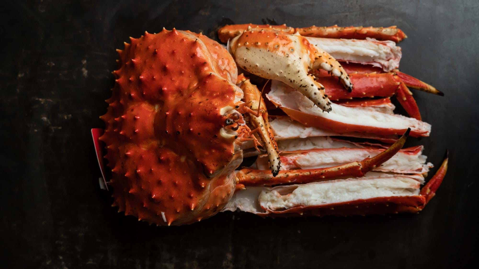 “Planet Ocean: tides are changing” – Introducing Invasive Fish Species ...