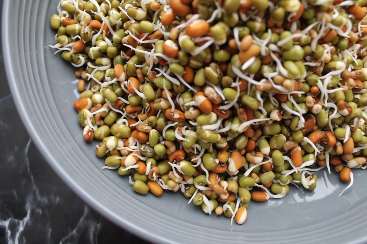 EAT-Lancet in Action: Harnessing the Power of Pulses
