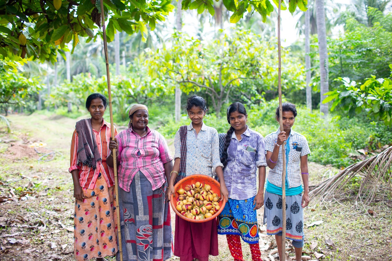 Sourcing Spotlight: Taking a Closer Look at Spices