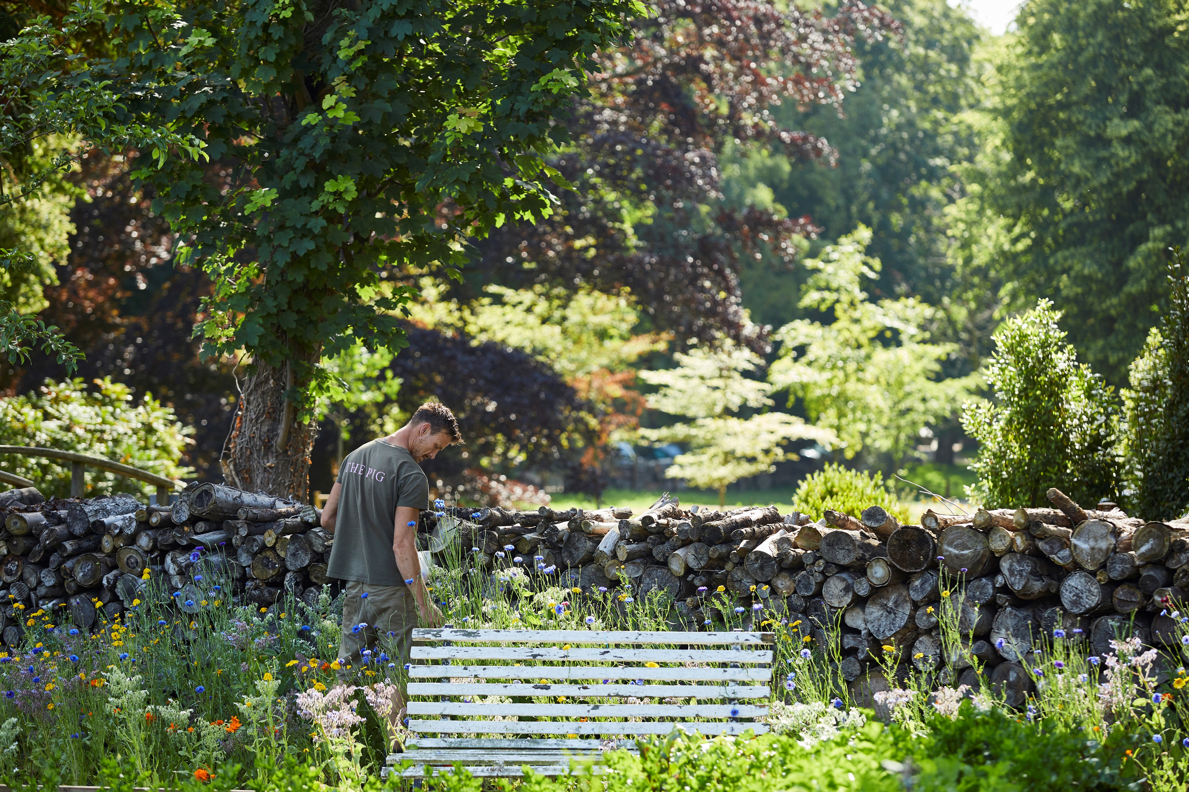 The PIG Group | The Sustainable Restaurant Association