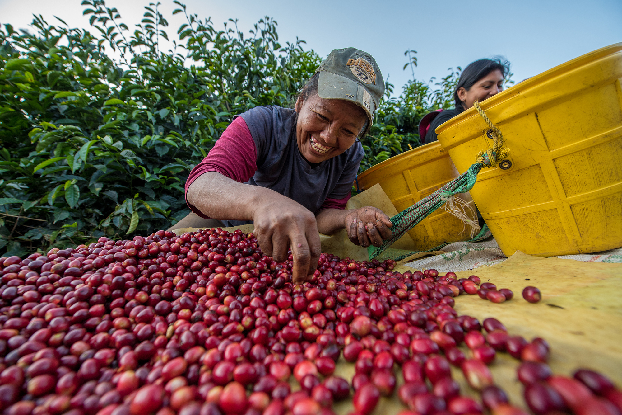 Sourcing Spotlight: Taking a Closer Look at Coffee